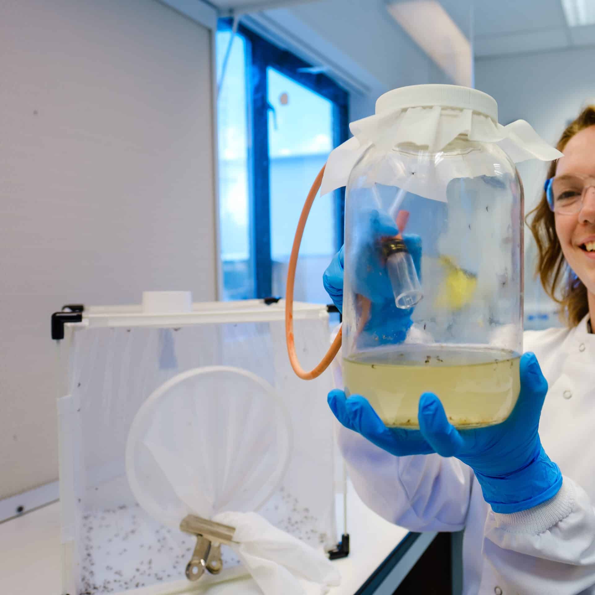 Dobra Praktyka Higieniczna - System GHP - Procedury - Standardy ...