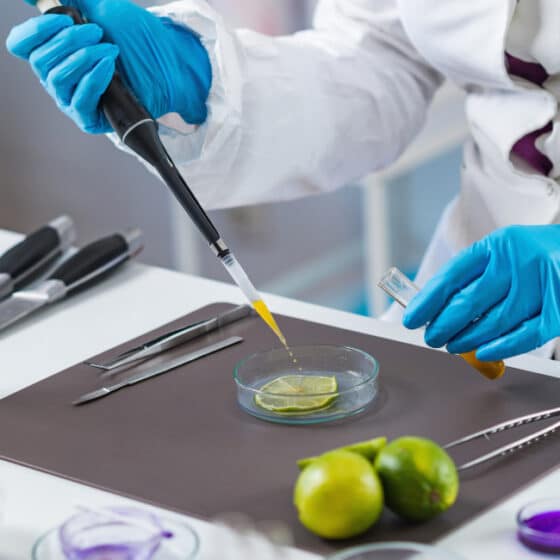 BRC Standard Food - Certyfikat - Co To Jest? Jakie Są Wymagania ...